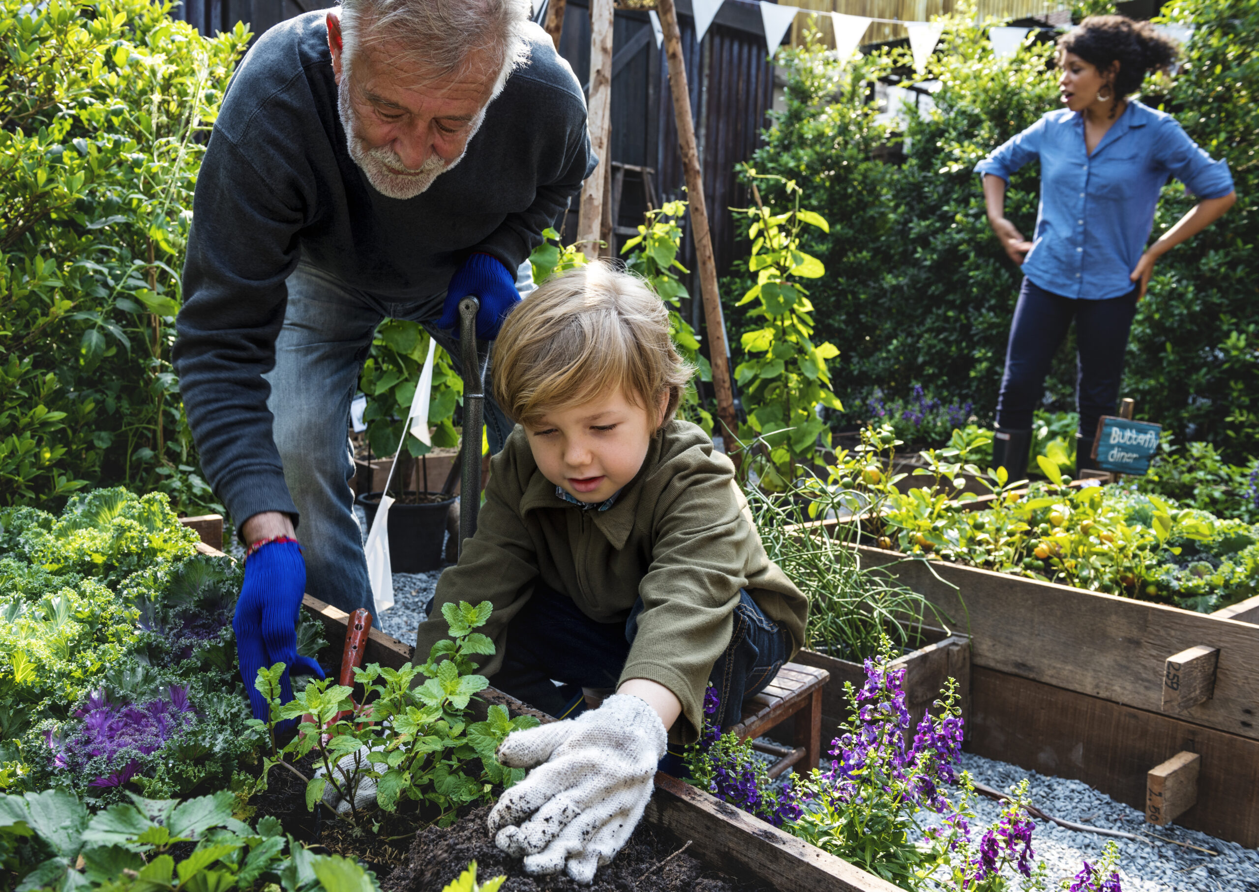 THERE GOES THE NEIGHBOURHOOD…. HERE COMES THE MULTI-GENERATIONAL ...