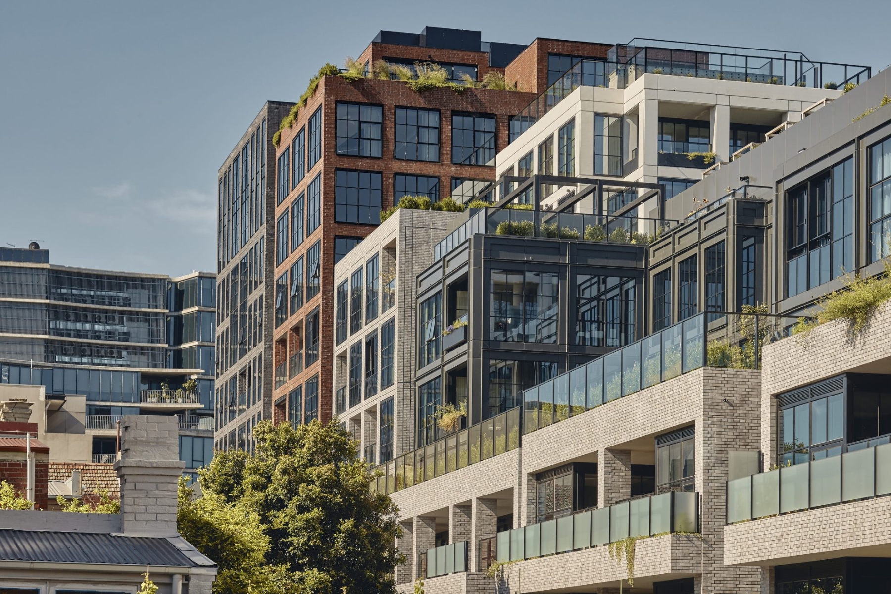 Victoria & Vine - ADP Consulting
